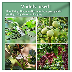 Secured Plastic Plant Clip, 2024 Upgrade Plant Support Clips, Garden Clips for Climbing Plants, Tomato Clips, Plastic Trellis Clips Plant Support Clips，Plastic Trellis Clips Plant Support Clips Grape