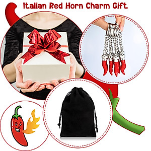 Remuuly 10 Pcs Italian Horn Keychain Italian Red Horn Charm Chili Pepper Keychain Souvenir for Car Mirror Accessories(Silver)