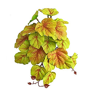 XISAOK Artificial Reptile Plants Lifelike Terrarium 3D Printed Leaves Amphibian Plant Tank Habitat Decoration for Iguana Turtle reptile plants for terrarium tropical habitat for bearded dragon snake