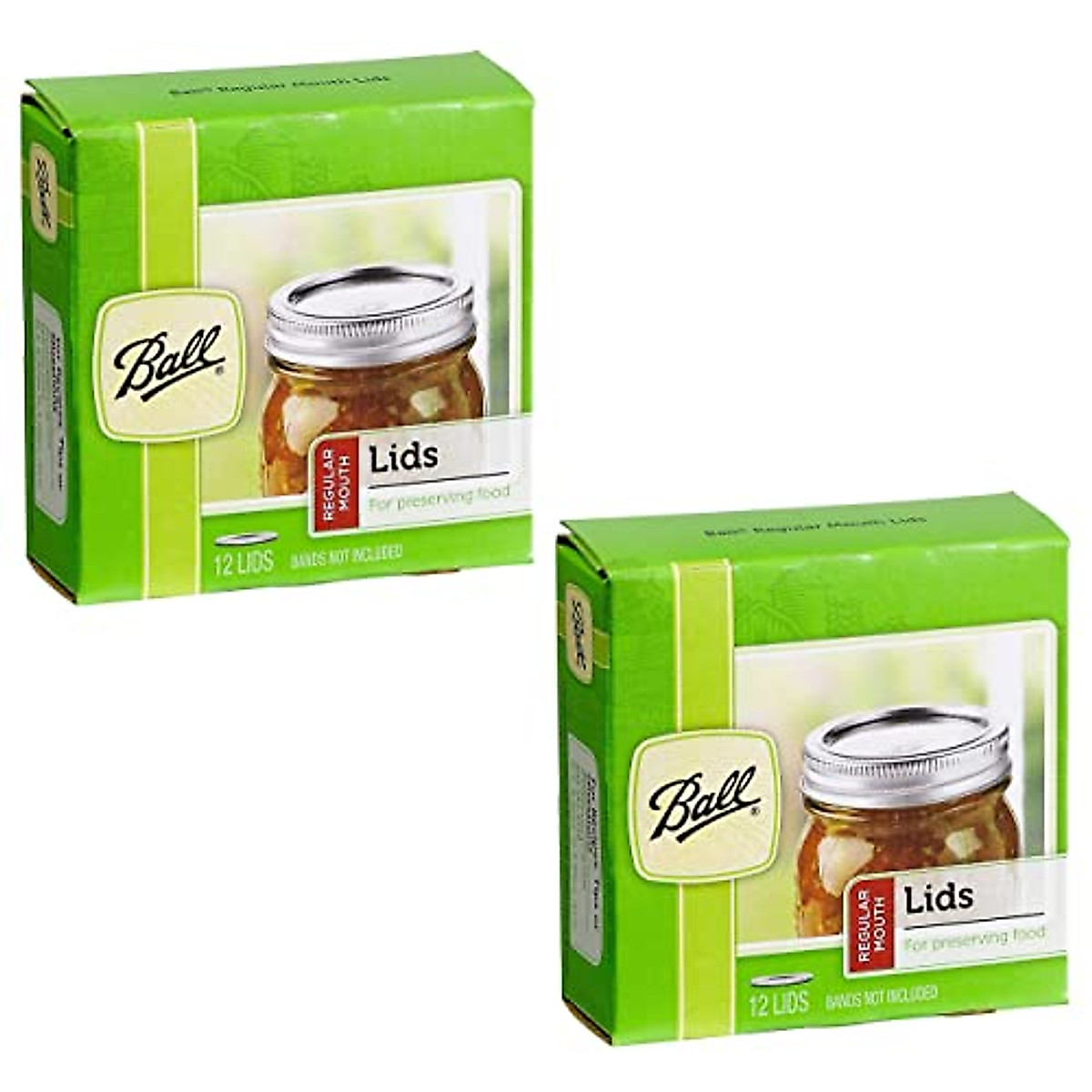 Ball Regular Mouth Mason Glass Jar Lids (24-Count), Silver