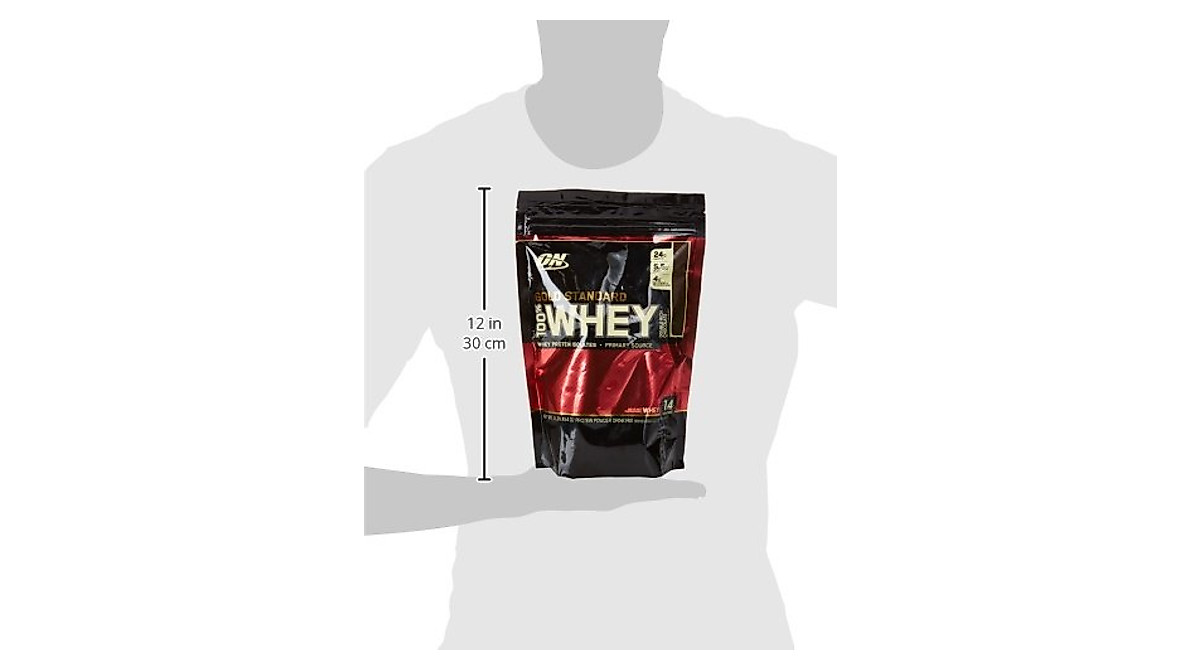 Optimum Nutrition Gold Standard Whey Protein - Double Rich Chocolate