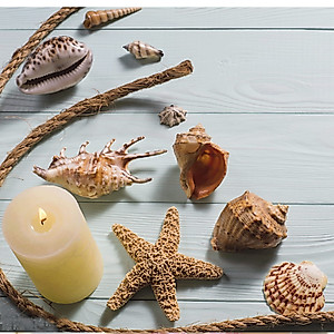 JQAQJU Sea Shells Mixed Beach Seashells 20 Kinds, 1.5"-5.5" Various Sizes Large Ocean Shells Conch 2 Kinds Natural Starfish for Decorating Beach Theme Party Fish Tank Filling Home Decor Wedding