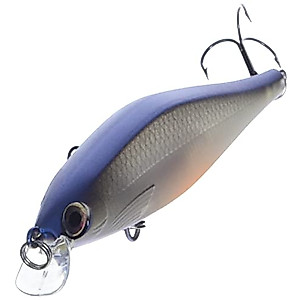 Rapala SDRS09 Shadow Rap Shad Lure (3.5-Inch, 0.3oz, Elite Blue)