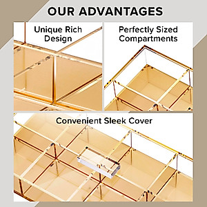 Snack Serving Tray Gift Box - Empty Divided Appetizer Serving Tray Set with Lid, Sectional Nuts & Dry Fruit Tray, Candy Dish, Veggie Serving Platter, Acrylic Clear & Gold, 8 Compartments, by Elavain