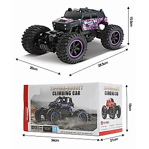 Songtai Remote Control Car, Purple Rc Truck 4x4 Off-Road Waterproof Function 360° Rotation, Suitable for Boys, Girls, Adult and Children's Toy