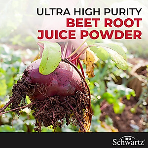 Sugar Free Beet Root Gummies - Nitric Oxide Beet Chews Infused with Coconut Oil for Highest Absorption - Supports Energy & Whole Body Health - Delicious Strawberry Flavor - 120 Count (60 Day Supply)