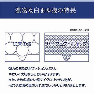 Shiseido Senka - Two Senka Perfect Whip 120g