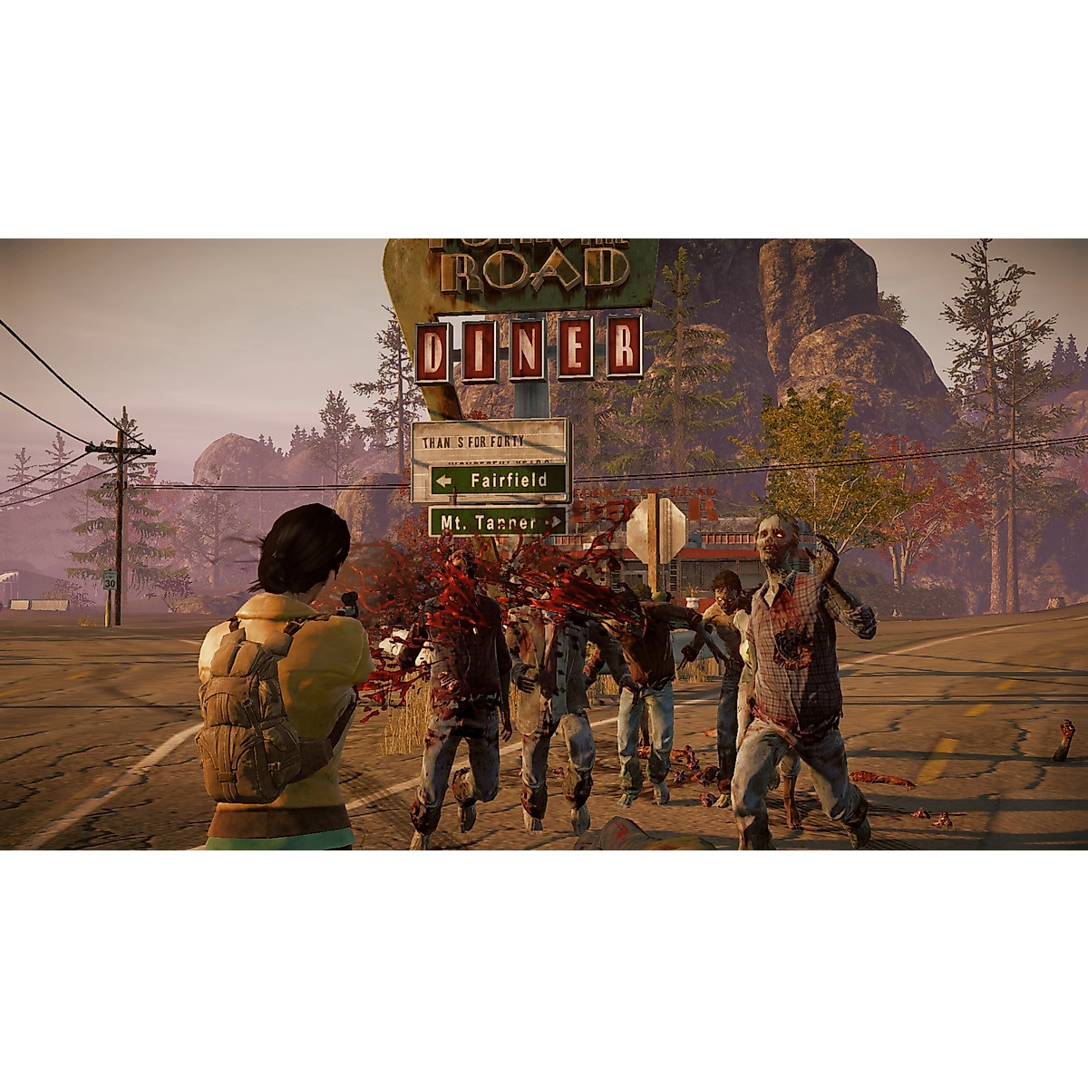 State of Decay: Year-One Survival Edition - PC