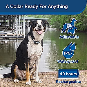 PetSafe 300 Yard Remote Training Collar – Choose from Tone, Vibration, or 15 Levels of Static Stimulation – Medium Range Option for Training Off Leash Dogs – Waterproof and Durable – Rechargeable