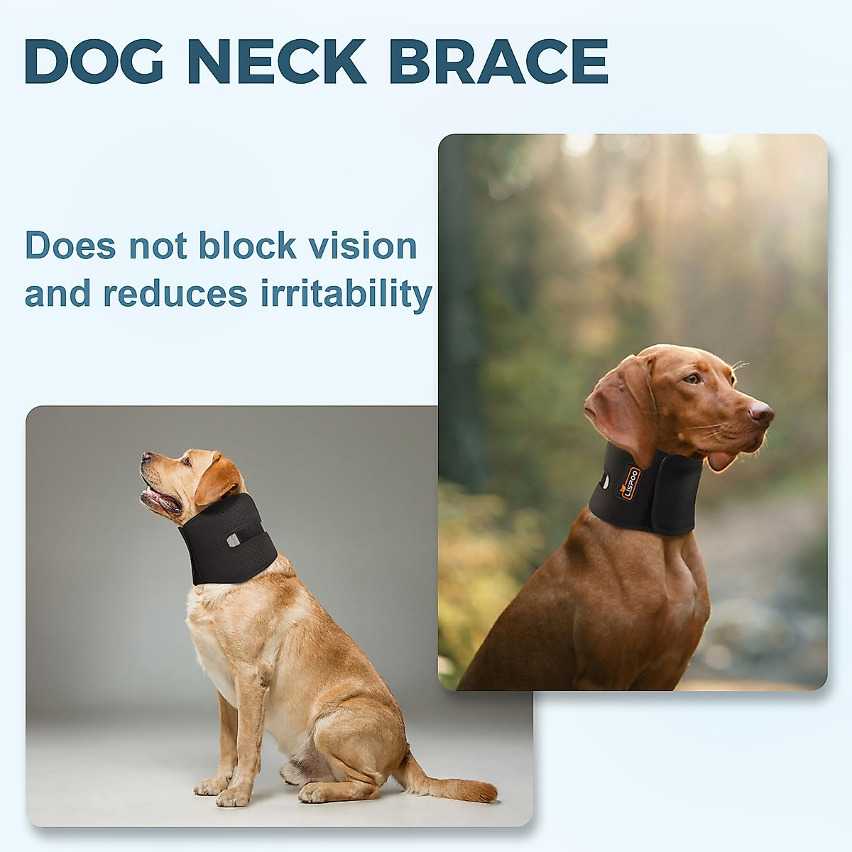 FoxFocus Dog Neck Braces Providing Support for Dogs with Vertebral Neck Injuries, Sprains, and Instability, While Preventing Biting and Licking for Effective Wound Healing