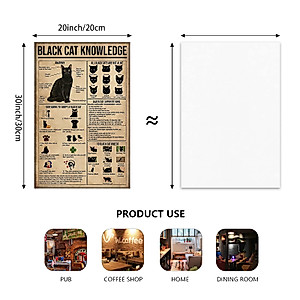 Flechazo Black Cat Knowledge Tin Sign Black Cat Kitchen Decor Poster Cat Smoke Poster Bar Bathroom Bar Garden Home Outdoor Wall Decoration Metal Tin Signs 12x8 Inch,12 x 8 inch