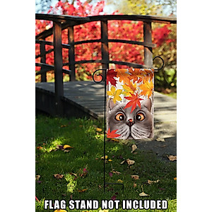 Toland Home Garden 1112655 Fall Cat and Ladybug Fall Flag 12x18 Inch Double Sided for Outdoor Cat House Yard Decoration