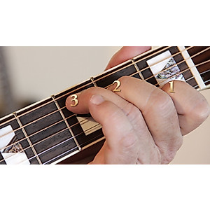 Acoustic & Electric Guitar Beginning Lessons