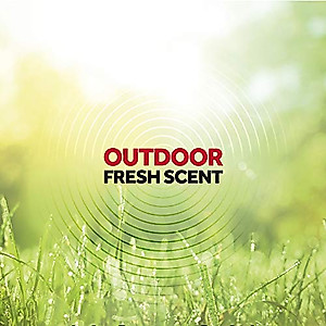 Raid Ant & Roach Killer Defense System, Outdoor Fresh Scent 17.5 Ounce (Pack of 12)