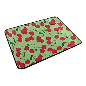 Doormat Welcome Door Mat-Sweet Red Rip Cherry Berries on Green,Living Room Kitchen Floor Mat Home Indoor Outdoor Decoration 24X16INCH