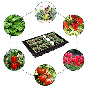 Aodaer 247 Pack Seed Starter Kit Including Peat Pots for Seedlings Seed Starter Tray with Plant Labels, Tool, Plastic Growing Trays Germination Tray Paper Seedling Cups for Indoor Outdoor Garden