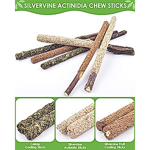 Silvervine Sticks for Cats, TINDTOP 10 Pack Natural Catnip Chew Toys for Kittens Teeth Cleaning, Matatabi Dental Care, Increase Appetite, Calm Cat Anxiety and Stress, Aggressive Chewers Cat Dental Toy