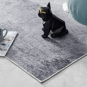 jinchan Area Rug 4x6 Indoor Modern Abstract Rug Grey Accent Rug Kitchen Gray Carpet Foldable Thin Rug Non Slip Contemporary Floor Cover for Living Room Bedroom Dining Room