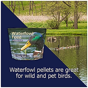Natural Waterscapes Waterfowl Feed 20 lb Bag | Floating Pellets for Duck, Swan, Goose | for Wild and Pet Ducks