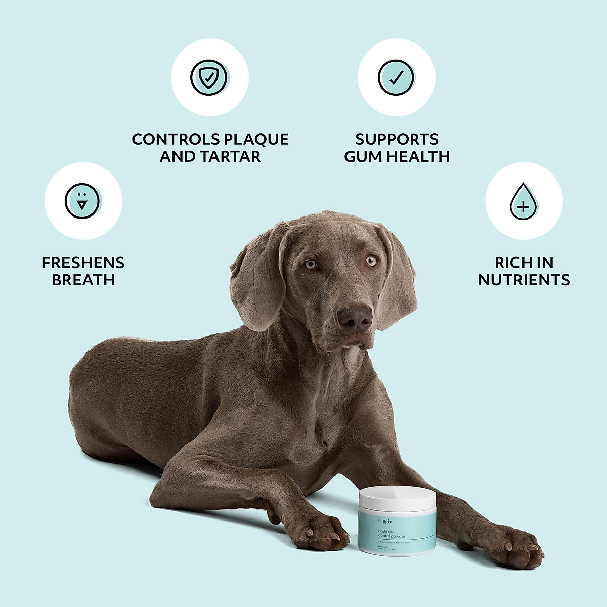 Reggie Bright Bite Dental Powder for Dogs | Reduces Bad Breath, Plaque, Tartar | Made in The USA, Organic, Vet-Approved, Ideal for All Ages & Breeds - 60 Scoops