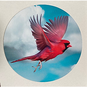 Retractable Screen Door Decals (Stickers) - 6 per Package - Keep Children Safe - Alert Birds, Dogs, Kids - Warn, Protect, Window Safety - Birds