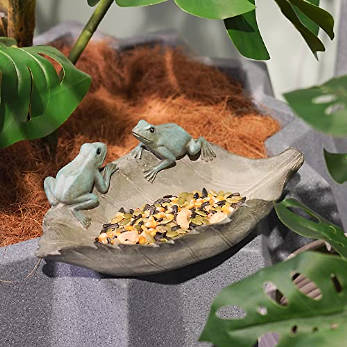 Bird-Feeder Wild Bird-Bath Bowl Outdoors - Garden Decor Polyresin Frogs on Leaf Bird Bath for Yard 12 x 7.25 x 3.5 inch-Newman House Studio