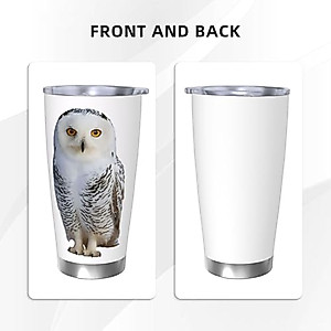 jshmgchw 3d Owl 20oz Tumbler, Car Cup With Lid And Straw, Spill-Proof, Stainless Steel Double Wall Vacuum Insulated Reusable Coffee Travel Mug, For Cold Drinks, Hot Beverage