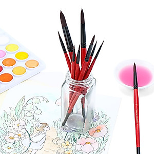 Transon Round Paint Brush Set 9pcs Synthetic Sable Hair for Acrylic Painting Watercolor Painting Gouache Ink Craft and Detail Painting