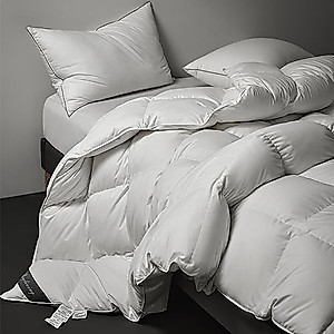 Royoliving Superior Poland Down Comforter 100% Egyptian Cotton Shell All Season Queen/Full Size Quilted Duvet Insert with 4 Corner Tabs and 4 Middle Loops (White All Season, Queen/Full)