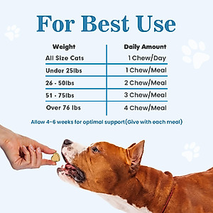 Bighero Probiotics for Dogs - Dog Probiotics for Gut Health & Digestive Health, Support Immune System, Diarrhea & Seasonal Allergies, Dog Supplement with Prebiotics & Digestive Enzymes, 180 Soft Chews