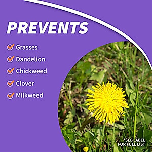 Bonide KleenUP He High Efficiency Weed & Grass Killer Concentrate, 32 oz