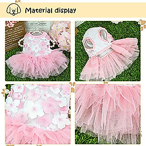 Girl Dog Clothes for Small Dogs Girl Dog Wedding Dress Puppy Clothe Dog Dresses for Medium Dogs Girl Cat Dresses for Cats Only Dog Birthday Dress Dog Tutu Dog Outfits 2 Pack (Small)