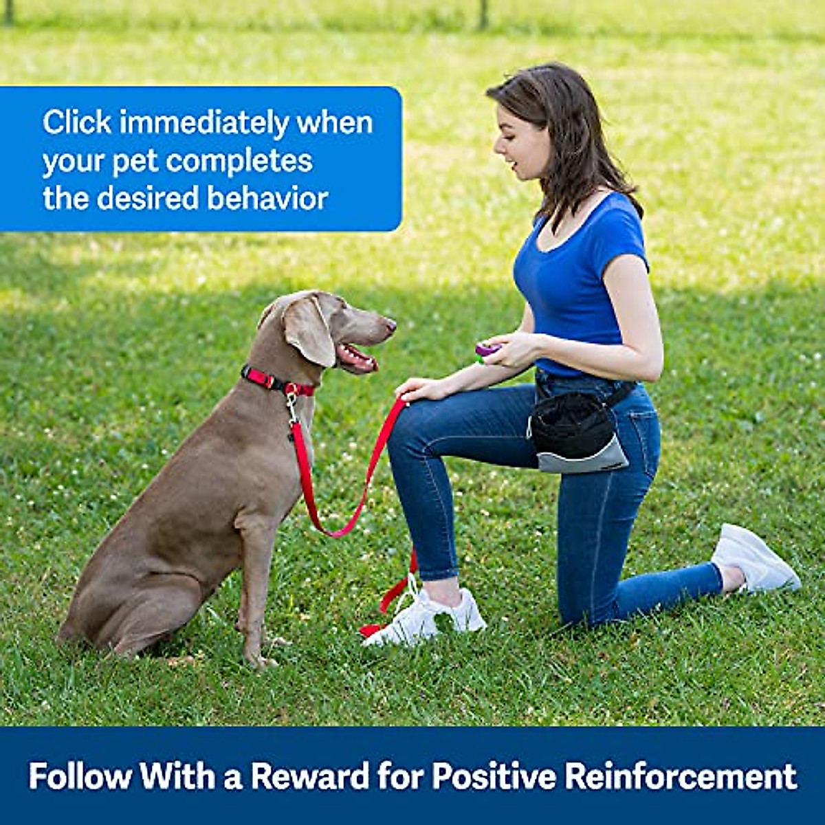 PetSafe Clik-R Dog Training Clicker - Positive Behavior Reinforcer for Pets - All Ages, Puppy and Adult Dogs - Use to Reward and Train - Training Guide Included - Purple