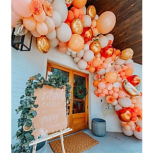 Little Cutie Orange Balloon Garland Arch Kit Macaron Orange And White Baby Shower Tangerine Theme Birthday Party Decor