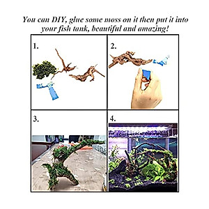 Hamiledyi 6 Pack Aquarium Driftwood Natural Spider Wood Branches Reptiles Aquarium Fish Tank Decoration Assorted(6 inch-8 inch)