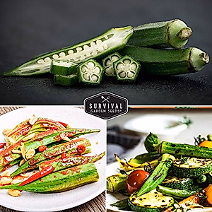 Survival Garden Seeds - Emerald Okra Seed for Planting - Packet with Instructions to Plant and Grow Tender and Large Okra in Your Home Vegetable Garden - Non-GMO Heirloom Variety - 1 Pack