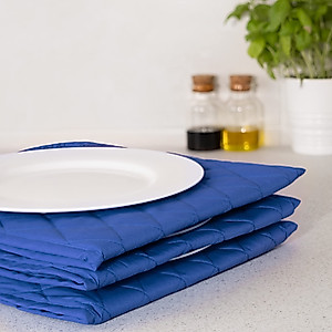 Navaris Electric Plate Warmer - 10 Plate Blanket Heater Pockets for Warming Dinner Plates to 165 Degrees in 10 Minutes - Thin Folding Design - Blue