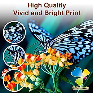 JTM LC3019XXL Compatible Ink Cartridge Replacement for Brother LC3019 LC3019 XXL Work with Brother MFC-J5330DW MFC-J5335DW MFC-J6530DW MFC-J6730DW MFC-J6930DW MFC-J6530DW Printer，4-Pack