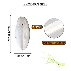 BNOSDM Bird Cuttlebone Chew Toy Cuttlefish Bones Parrot Cage Toys Bite for Cockatiels Parakeets Budgies Finches Canaries Lovebirds Small Conures Mynahs Toucans African Greys 10PCS