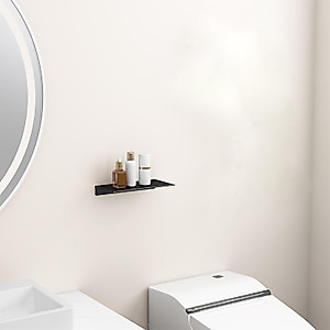 Danpoo Small Floating Shelf for Wall Storage, Mini Display Shelf for Collectibles, Metal Wall Shelf for Bathroom/Living Room/Kitchen/Bedroom(Black, 8")