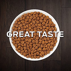 Purina Pro Plan Veterinary Diets DM Dietetic Management Feline Formula Dry Cat Food - 10 lb. Bag