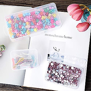 6 Packs Clear Hinged Plastic Box Plastic Organizer Container Storage Box for Washi Tape,Jewelry,Beads Art DIY Crafts, Fishing Tackles,Screws