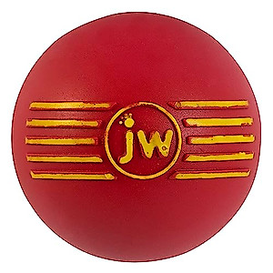 JW Squeak-ee Ball Puppy Toy