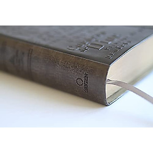 Biblia RVR 1960 letra grande tamaño manual, simil piel gris con nombres de Dios / Spanish Bible RVR 1960 Handy Size Large Print Leathersoft Grey, Names of god