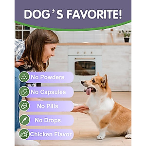 15 in 1 Dog Multivitamin Supplement - Dog Vitamins for Immune System, Digestion, Hip & Joint, Skin & Coat - Multivitamin Chews for Dog with Glucosamine & Chondroitin - Chicken Flavor, 120 Chews