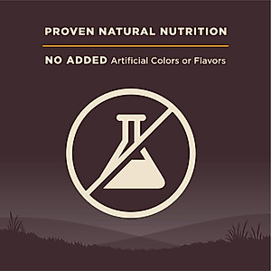 Wellness CORE Natural Grain Free Dry Dog Food, Puppy, 4-Pound Bag