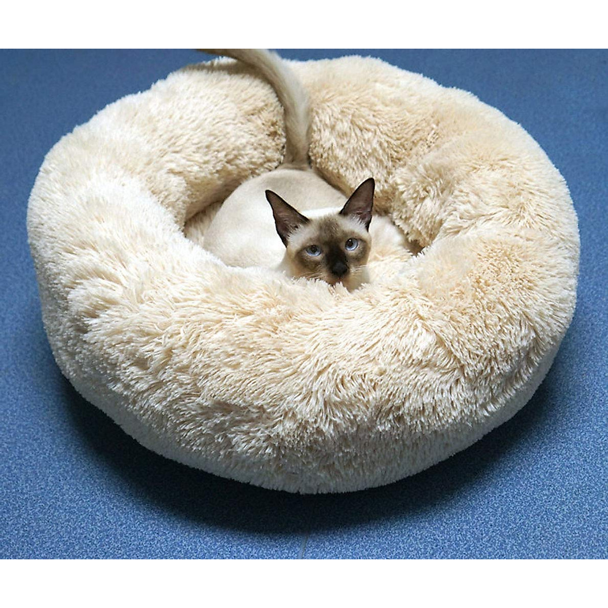BODISEINT Modern Soft Plush Round Pet Bed for Cats or Small Dogs, Mini Medium Sized Dog Cat Bed Self Warming Autumn Winter Indoor Snooze Sleeping Cozy Kitty Teddy Kennel (20'' D x 8'' H, Champagne)