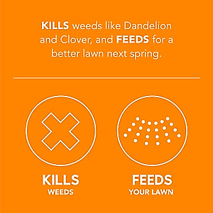 Scotts Turf Builder WinterGuard Fall Weed & Feed3, Weed Killer Plus Fall Fertilizer, 4,000 sq. ft, 11.43 lbs.