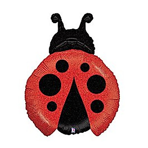LADYBUG 1st First BIRTHDAY PARTY Balloons Decorations Supplies NEW