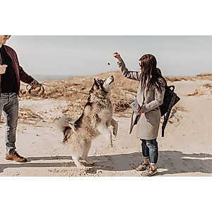 Eli Cod Skin Cubes 3 oz - Naturals Premium Dog Treats, Fish Skin Dental Treats, Rich in Protein & Omega 3, Low in Fat, Grain Free, Single Ingredient, Crispy, Hypoallergenic, Gluten Free, Air Dried